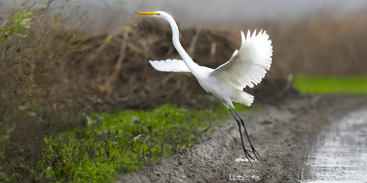 Yolo Wildlife Area Map Duck Hunting At The Yolo Bypass » Where Do I