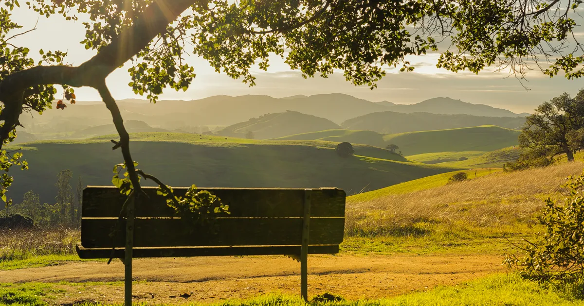 5 Reasons Why Petaluma Is a Great Place to Visit