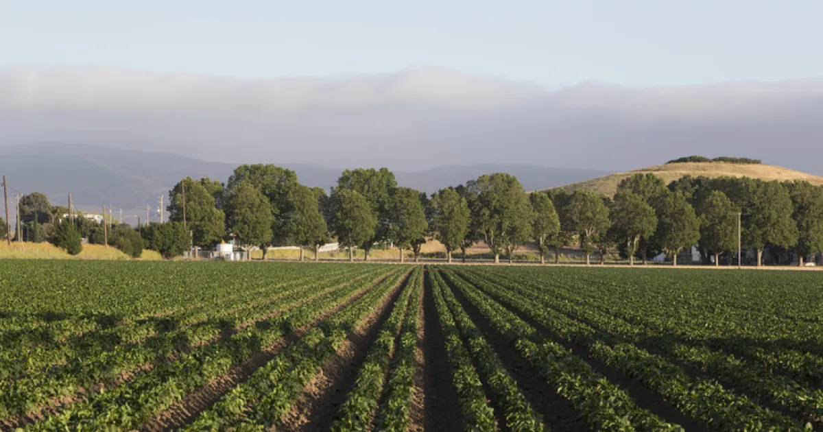 Farms | Visit California
