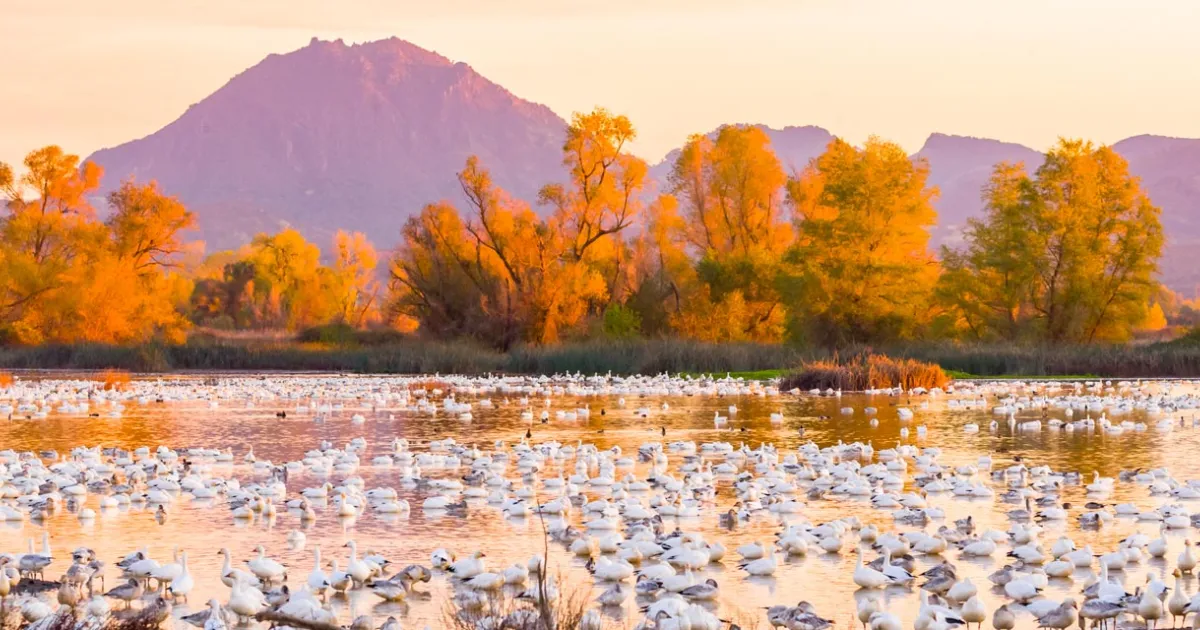 Guide to the Outdoors in Northern California’s Yuba Sutter Region