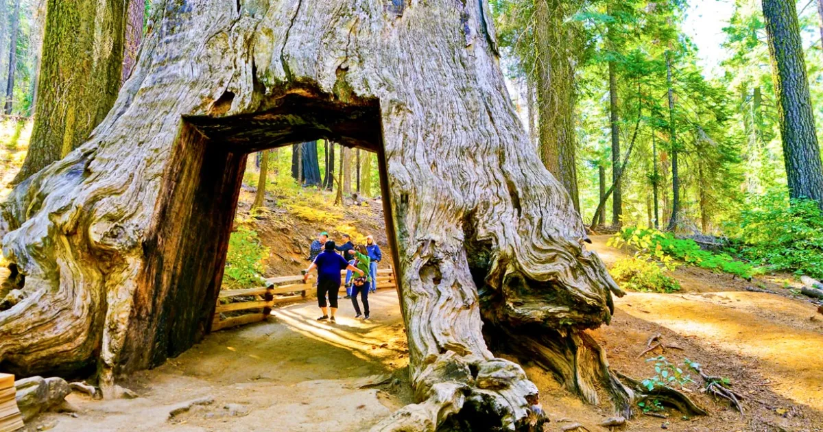 Best Fall Hikes in California | Visit California
