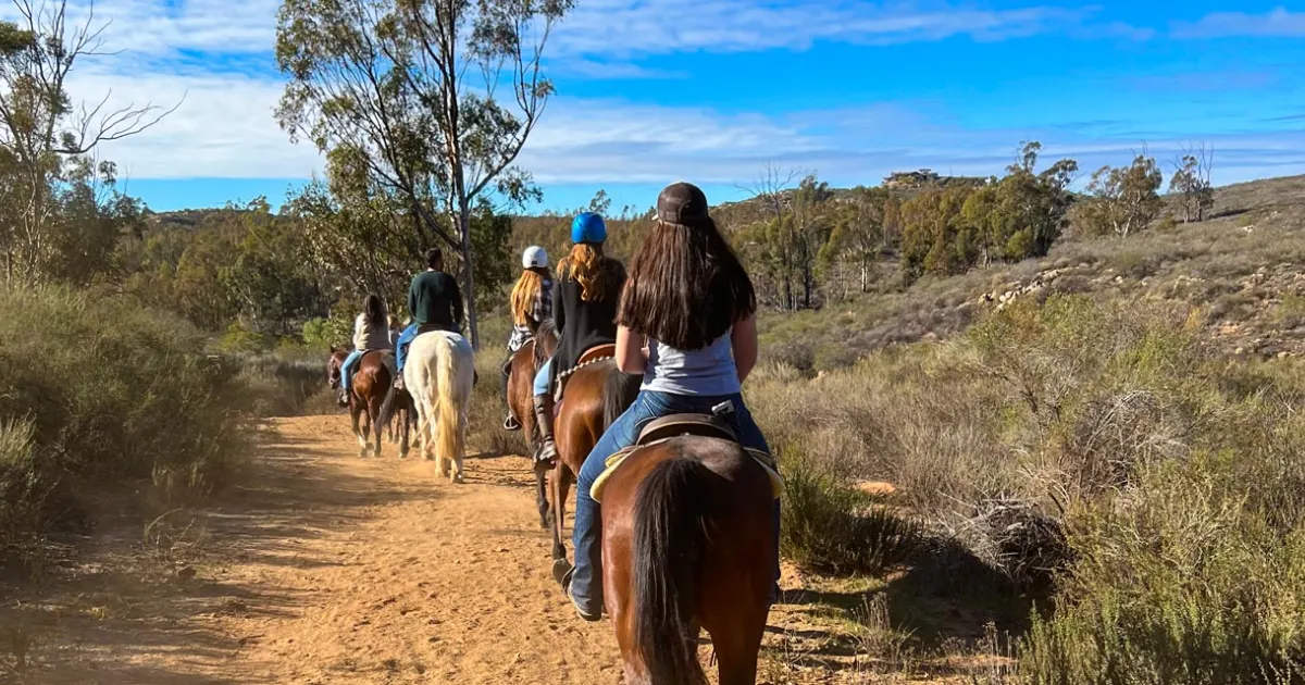Horseback Riding in San Diego: 6 Unique Experiences