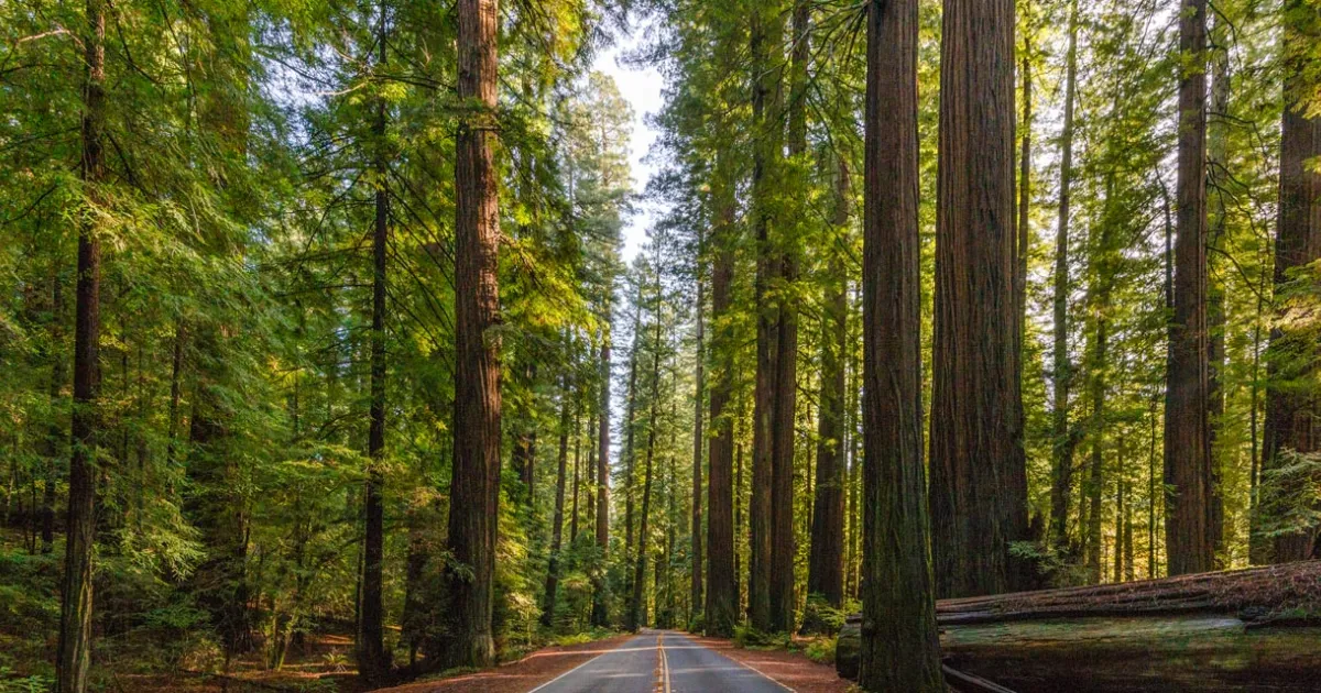 A Complete Guide to California State Parks| Visit California