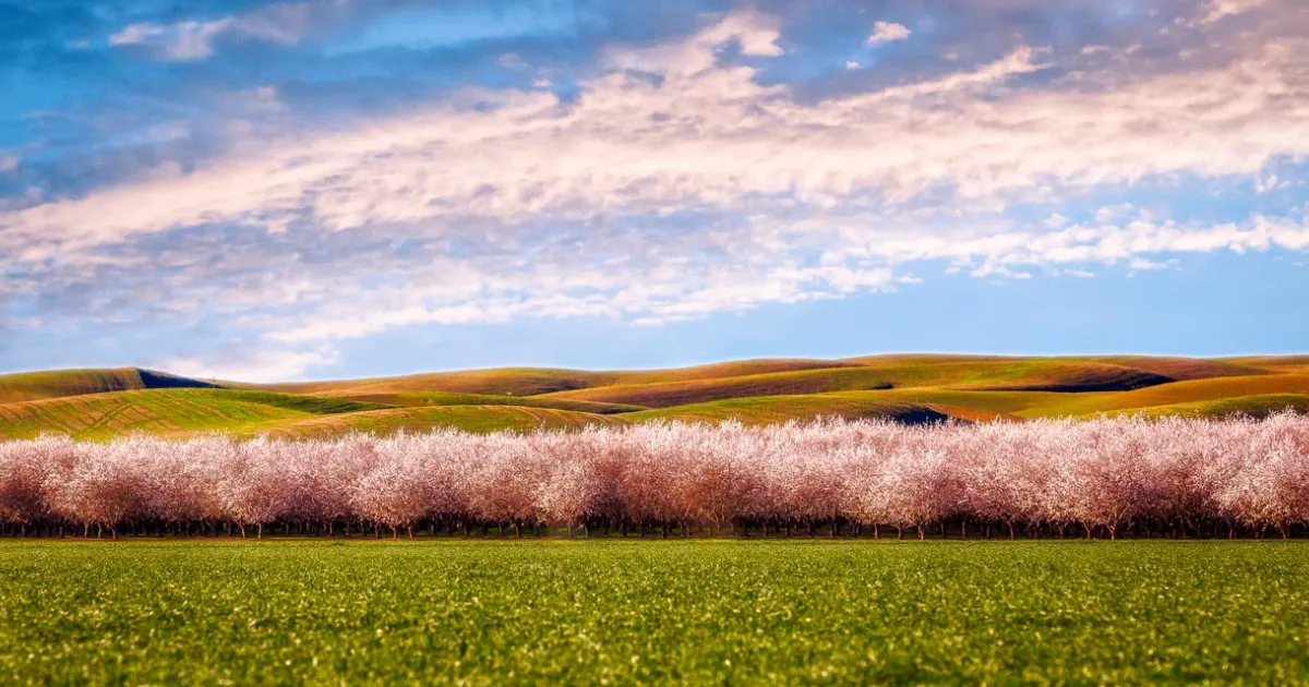 Central Valley | Visit California