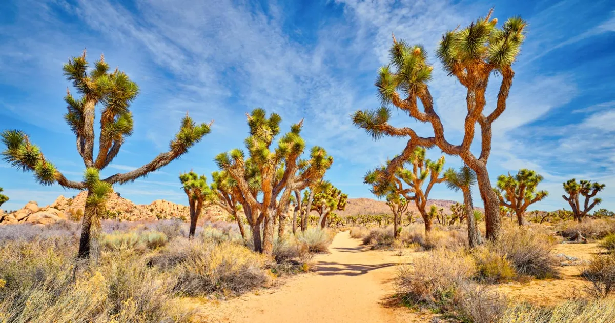 Deserts | Visit California