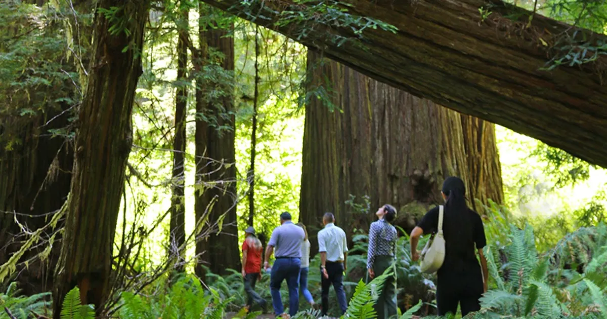 Tolowa Dee-ni’ Nation | Visit California