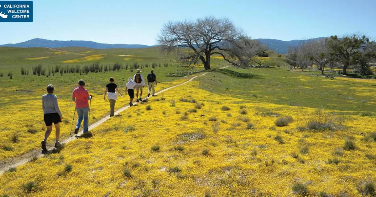 캘리포니아 여행 안내 센터 - 알파인 | Visit California
