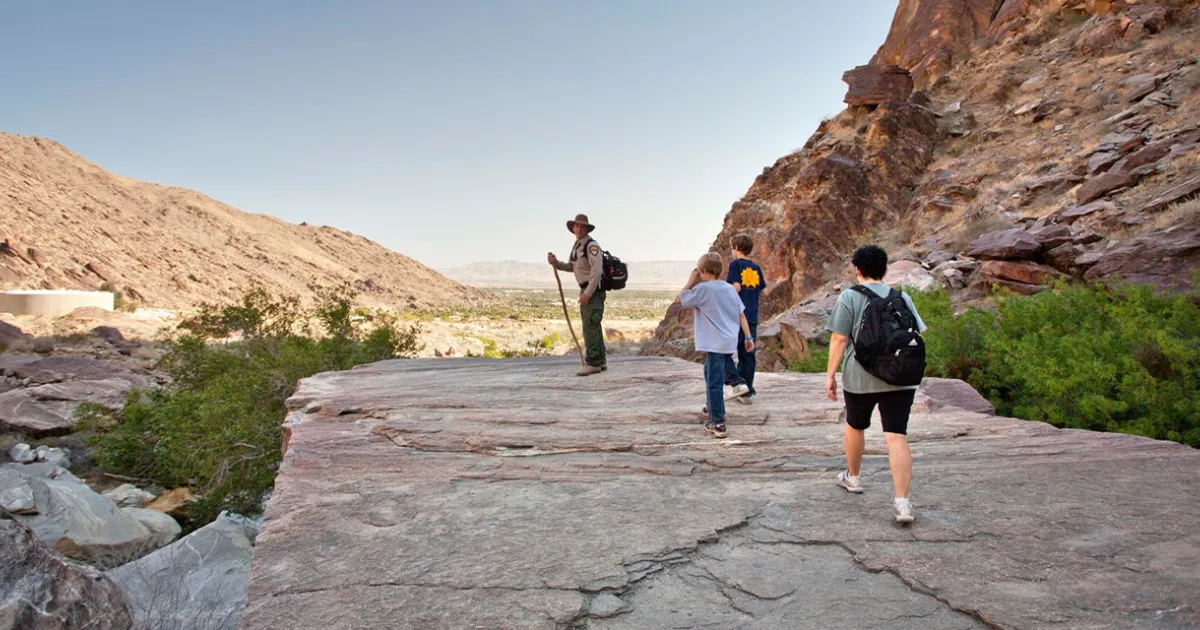 Things to Do in Palm Desert’s Indian Canyons| Visit California
