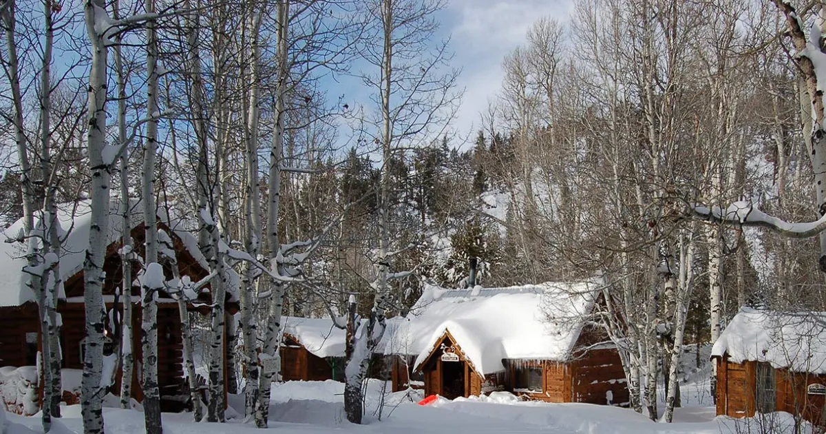 the winter cabins