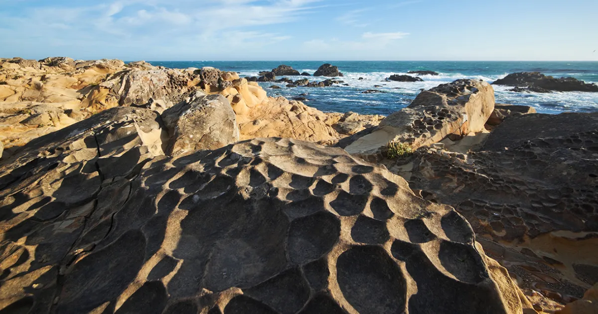 Salt Point State Marine Conservation Area