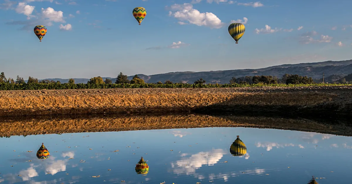 Special Tours in Napa Valley