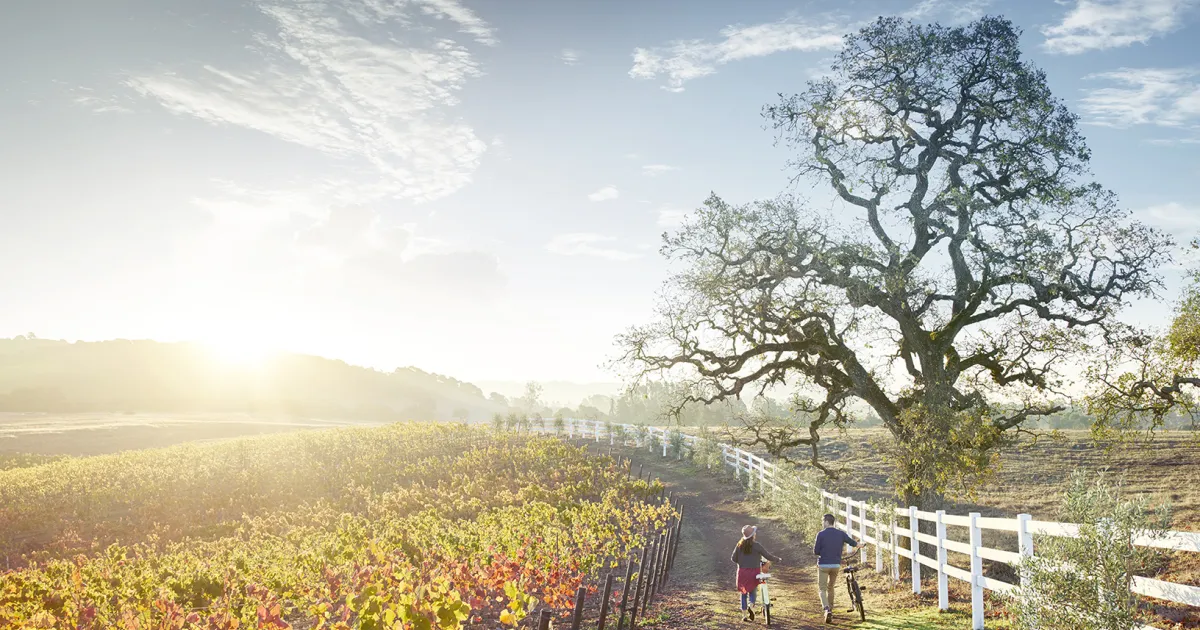 Wine Country Hotels Offering Discounts and Feel-Good Incentives